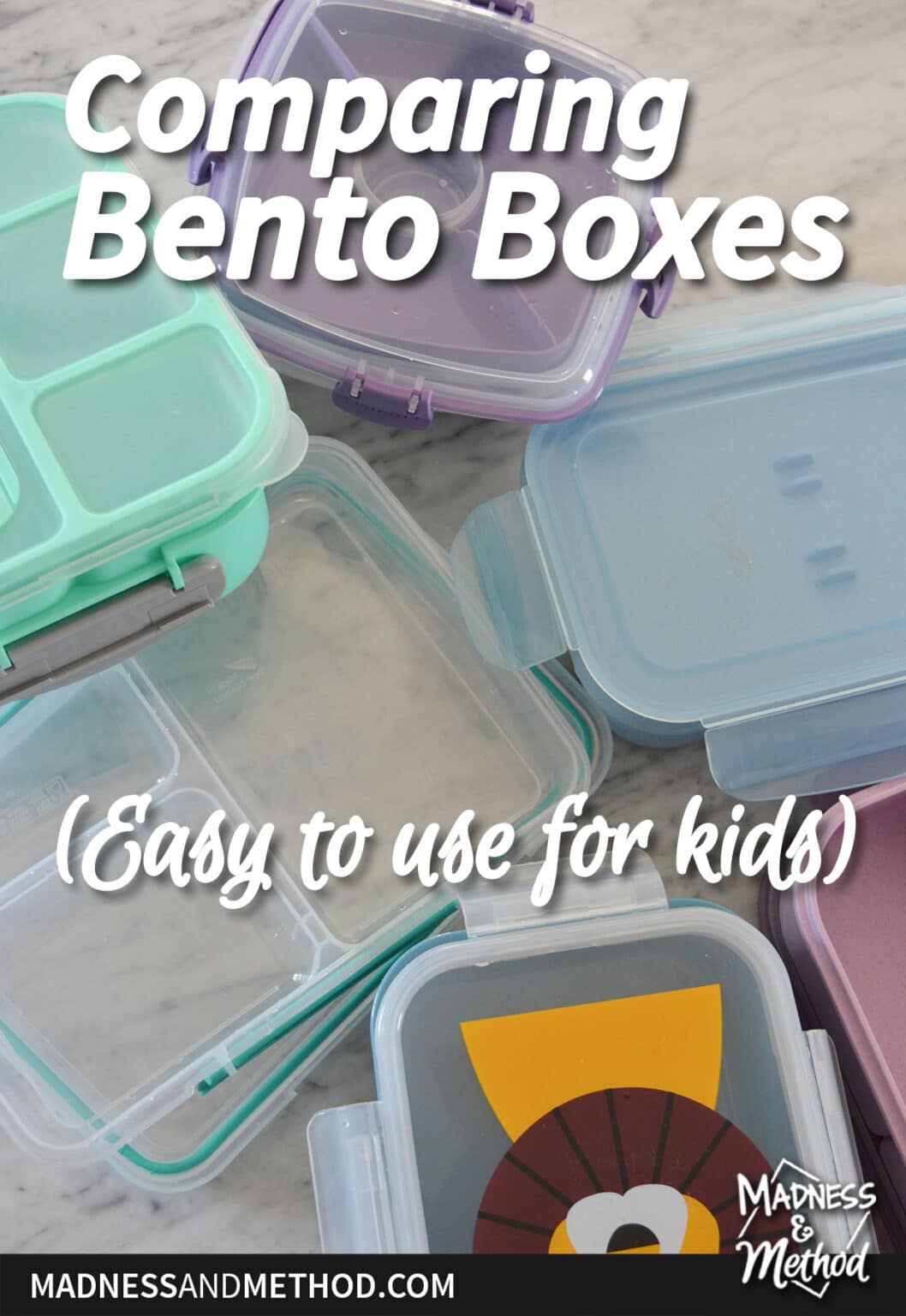 The Best Bento Boxes | Madness & Method