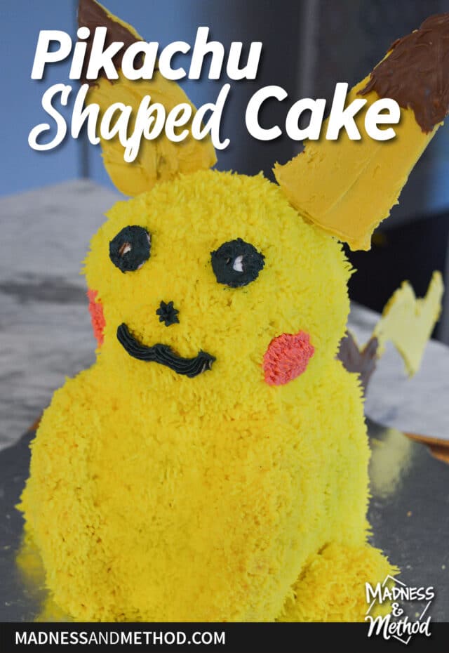 Pikachu Shaped Cake | Madness & Method