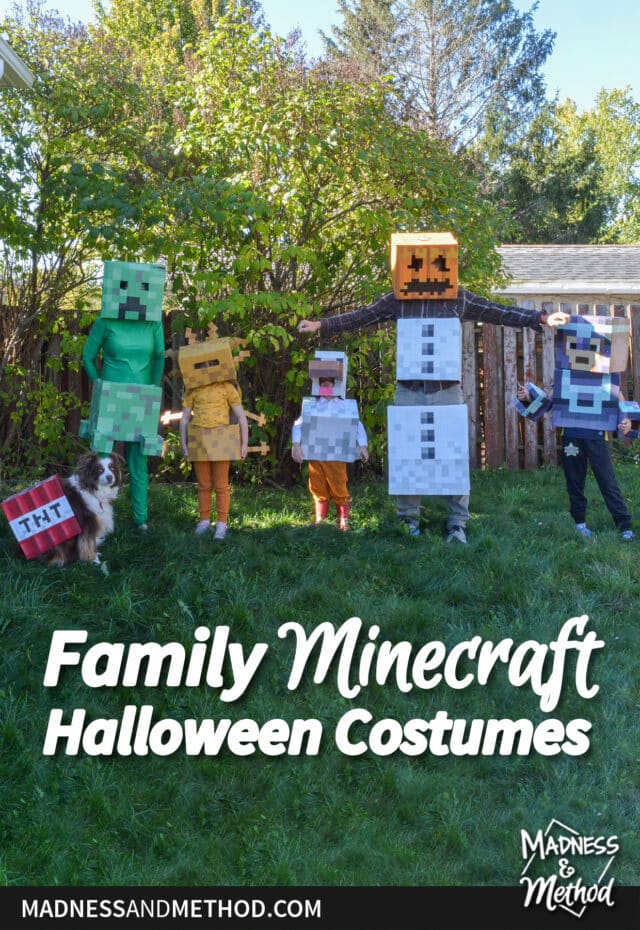 Family Minecraft Halloween Costumes | Madness & Method