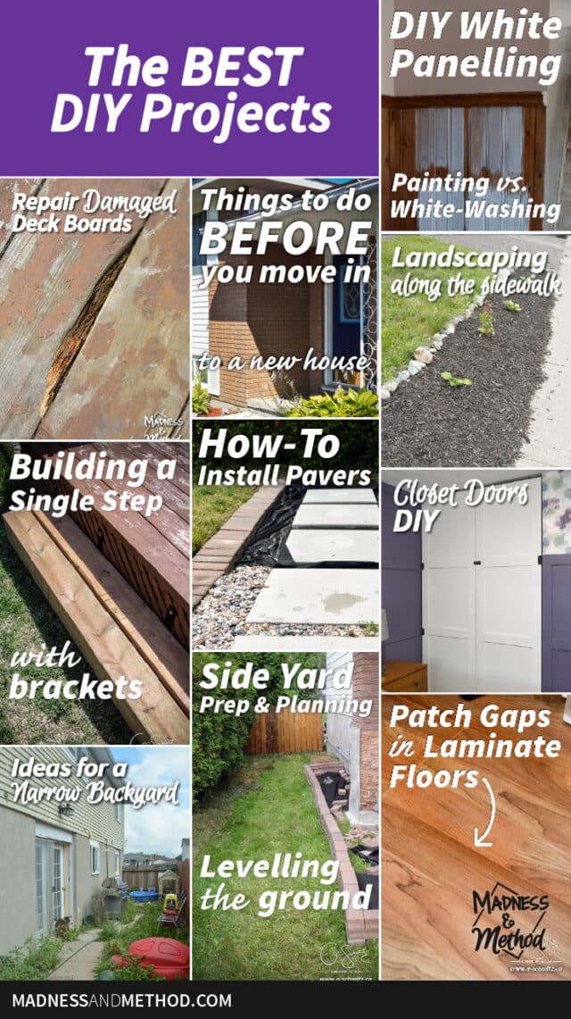 2024 Popular Posts | Madness & Method